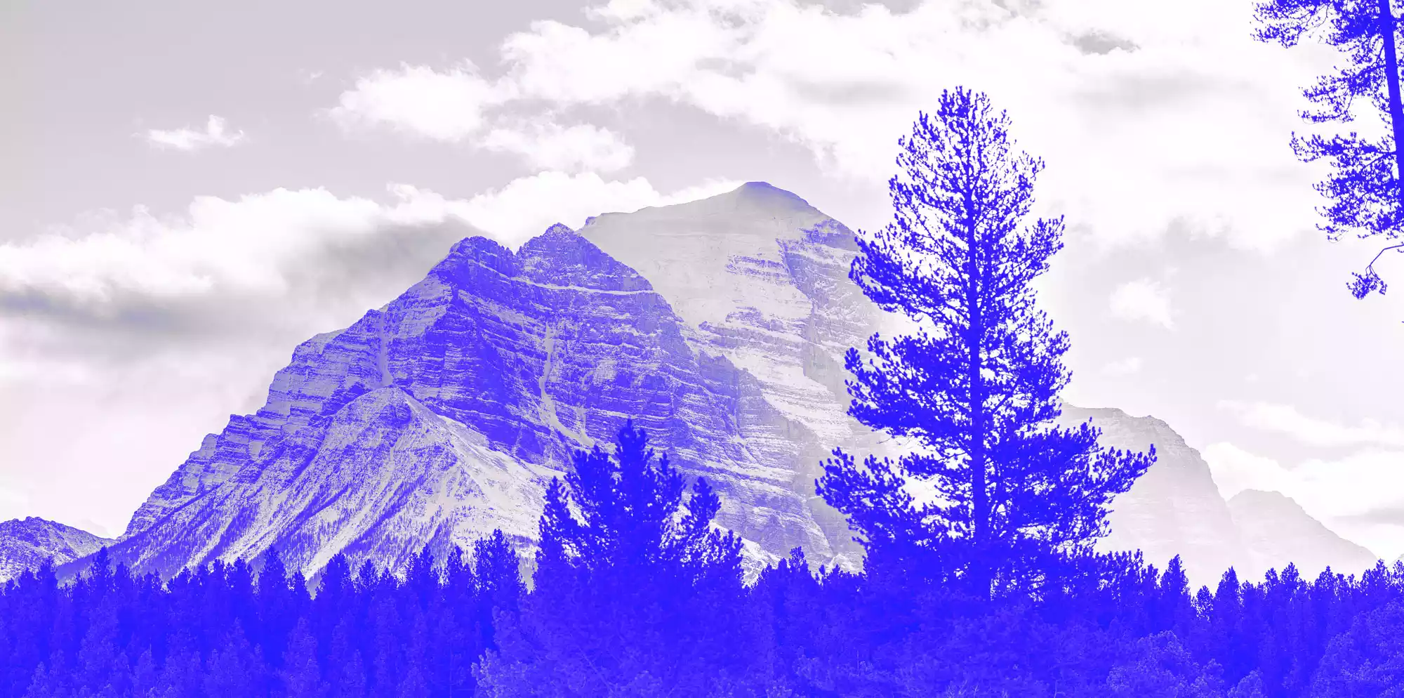 16 Best University Website Designs in 2024 | BIG Linden